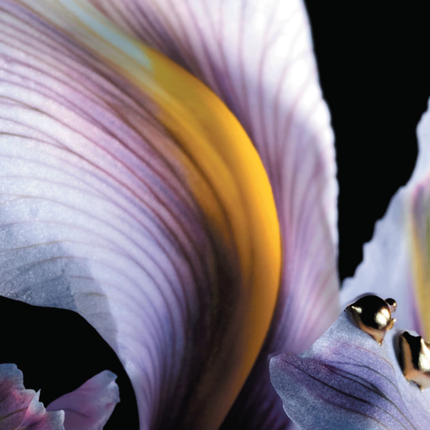 GUERLAIN | Le Bon Marché